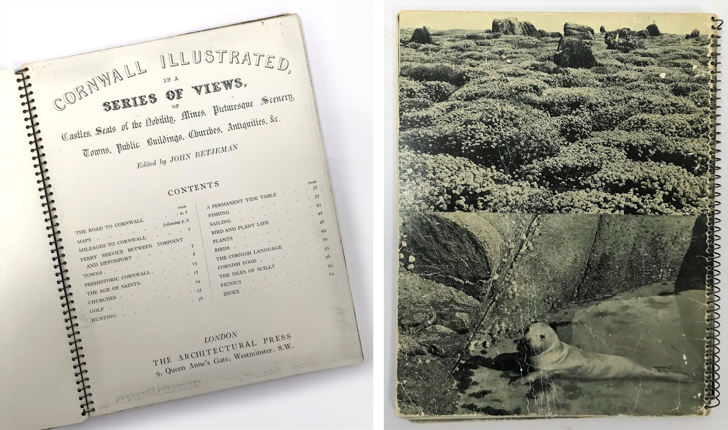 Not Just Any Old Books