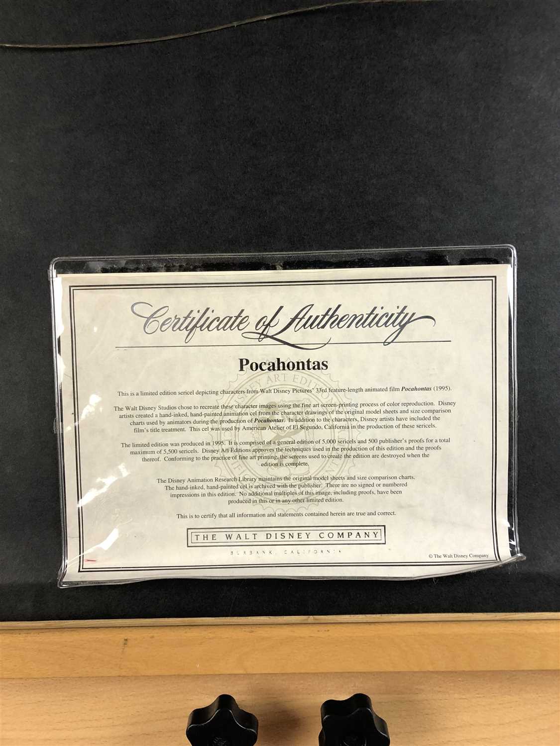 Lot 368 - Walt Disney Company sericel