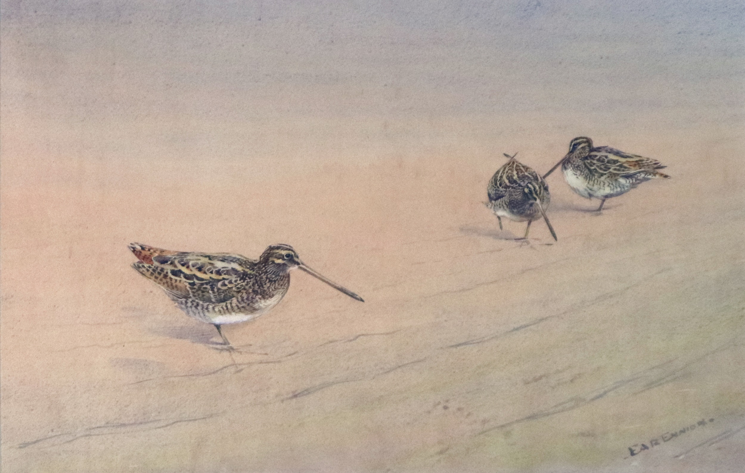 Lot 46 - Eric Arthur Roberts Ennion (1900-1981) Snipe
