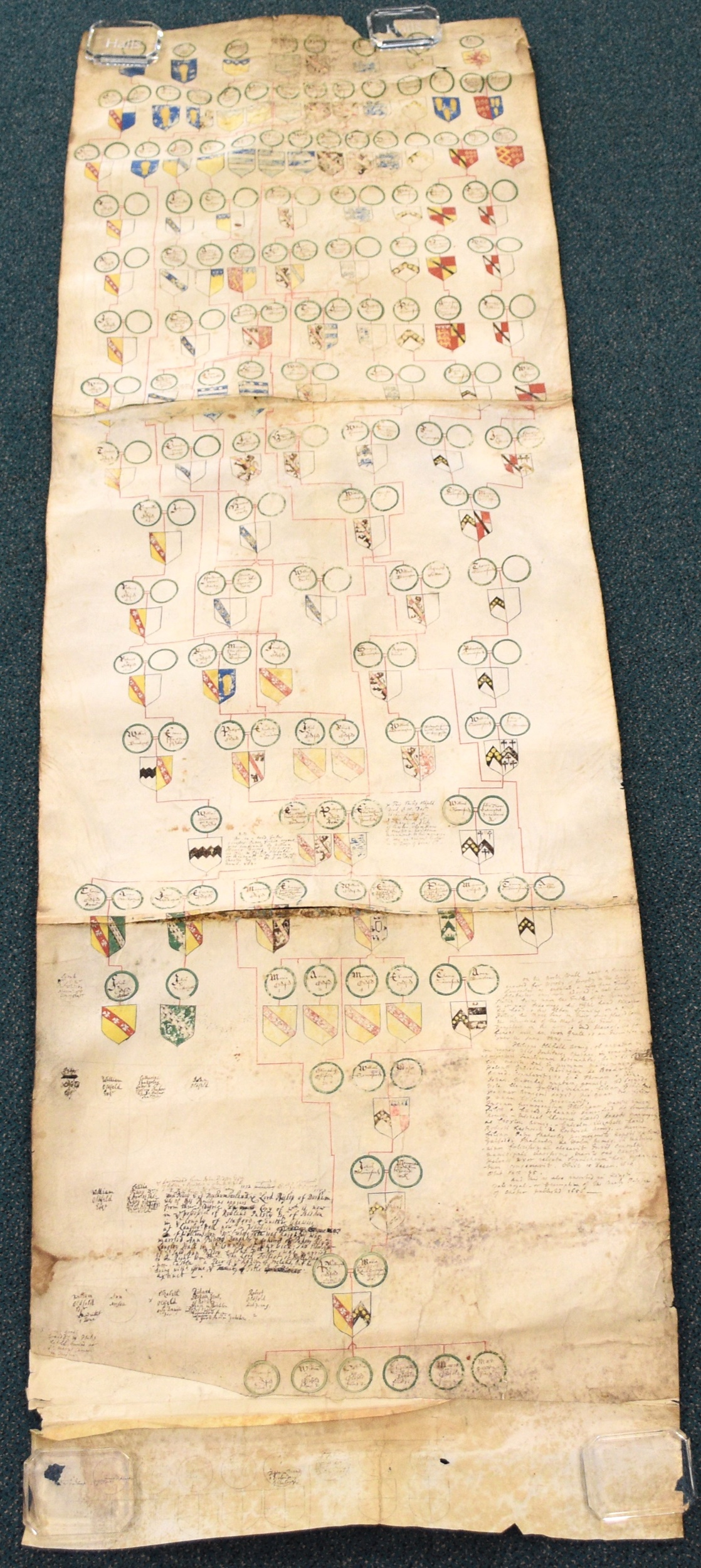 Lot 96 - MANUSCRIPT PEDIGREE OF THE OLDFIELD FAMILY.