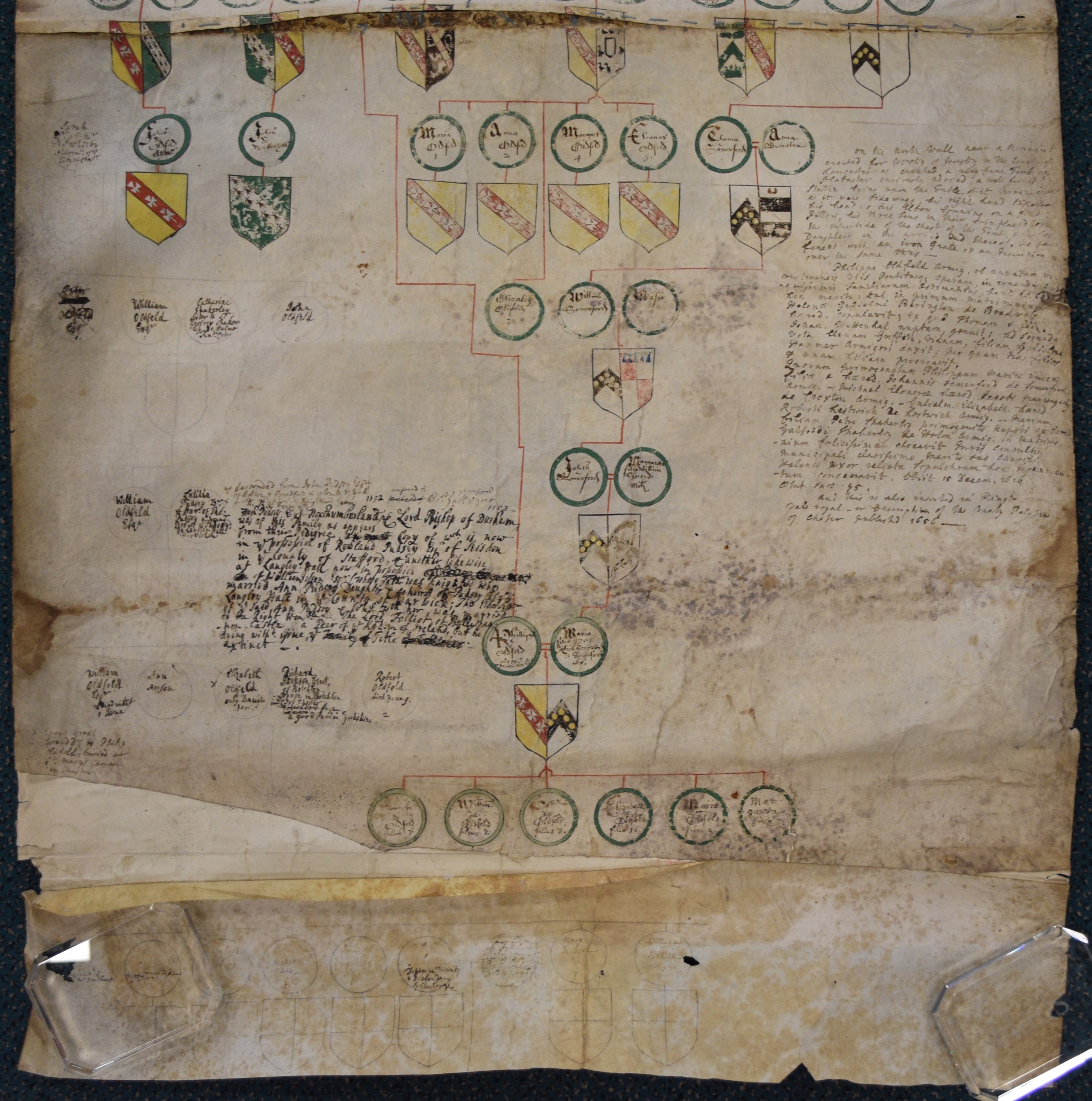Lot 96 - MANUSCRIPT PEDIGREE OF THE OLDFIELD FAMILY.