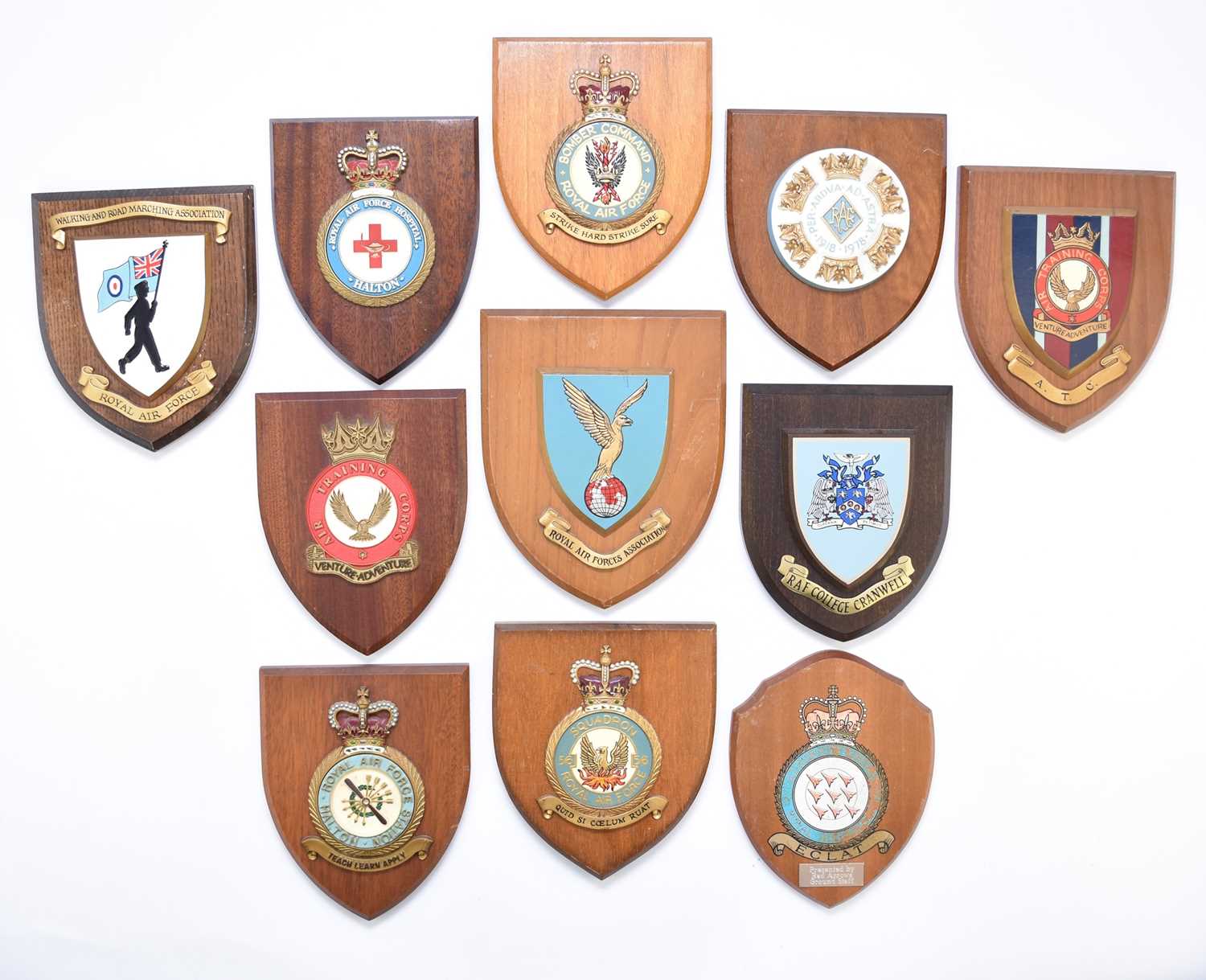 Lot 513 - Eleven RAF Squadron and other plaques and